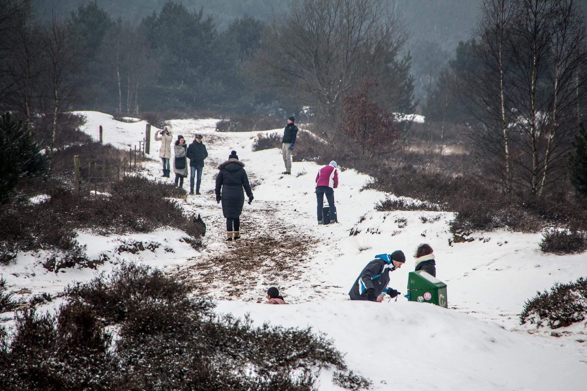 Winterse versie van Avond Wandel 4-daagse: Winterwandeling